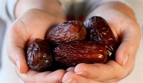 Best Medjool Dates California Arad Branding