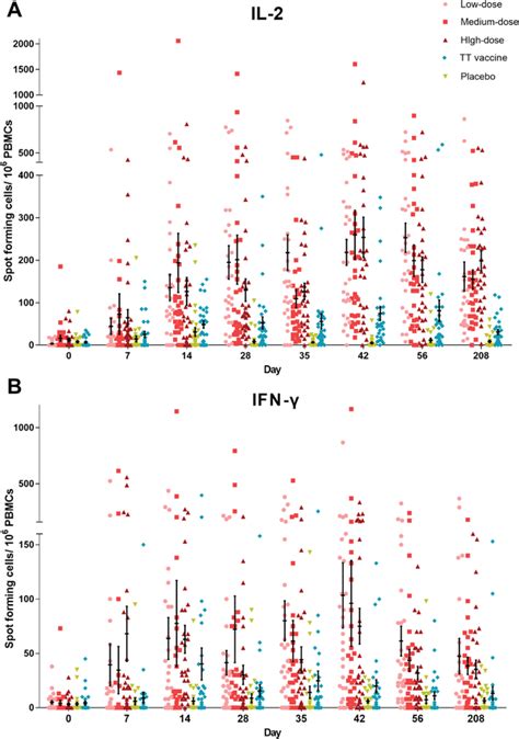 Specific T‐cell Response Measured By Enzyme‐linked Immunosorbent Spot Download Scientific
