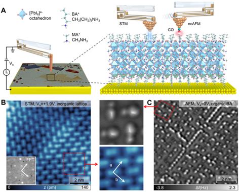 Qplus Based Stm And Ncafm Imaging Of The Rpp Surface A Schematics