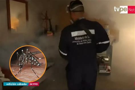 San Juan De Lurigancho Minsa Detecta 4 Casos De Dengue Y Realizan
