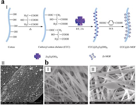 A ZrMOF Cotton Fiber Composite I Schematic Illustration Of The Download Scientific Diagram