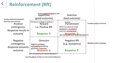 Lm Lecture 2 Positive Reinforcement Flashcards Quizlet