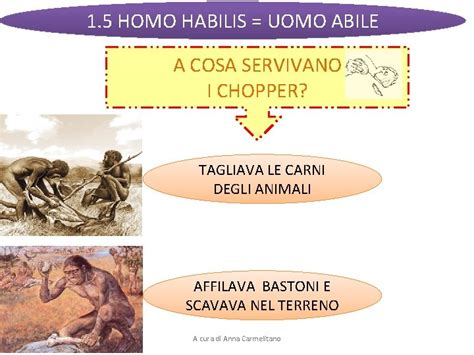 Percorso Di Storia Levoluzione Delluomo Classi Terze Scuola