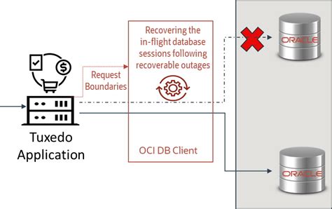 Oracle Database 23c Beta Simplifica Las Aplicaciones Y Su Desarrollo