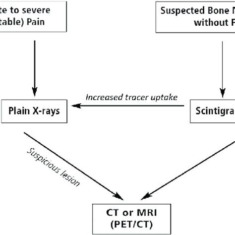 Algorithm For Radiological Detection Of Bone Metastases Download Scientific Diagram