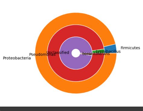 Pandas Title How To Visualize Hierarchical Data With Nested Pie