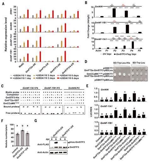 Science Paper Marked With Expression Of Concern After Readers Pointed