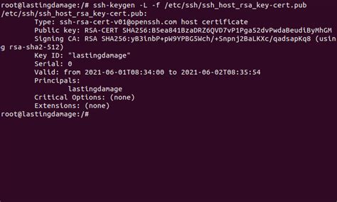 SSH Certificate Authorities Biological Robot