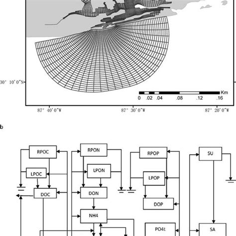 A The Efdc Modeling Grid And B The State Variables Simulated In The
