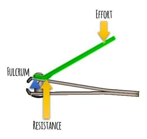 Solved A Nail Trimmer Consists Of Two Levers The Upper Part
