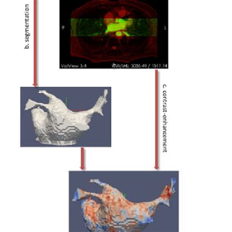 Image Processing Workflow Download Scientific Diagram