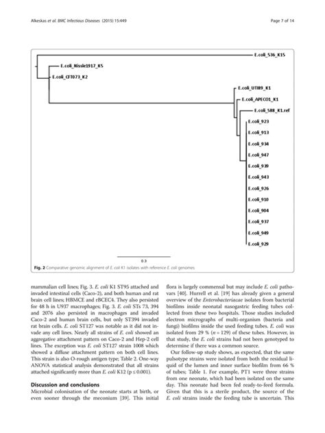 The Molecular Characterisation Of Escherichia Coli K1 Isolated From Neonatal Nasogastric Feeding