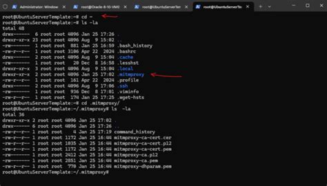 Mastering The Mitmproxy MITM Interactive HTTPS Proxy On Linux Matrixpost Net