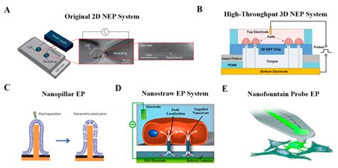 A Review On Electroporation Based Intracellular Delivery