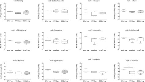 activity measurements calculated for each network functional node