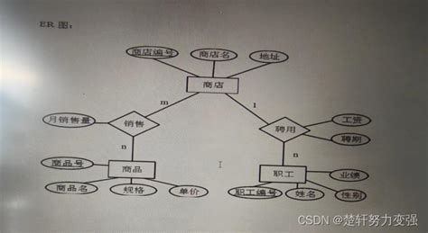 数据库学习笔记二）数据库 信息世界 机器世界 Csdn博客