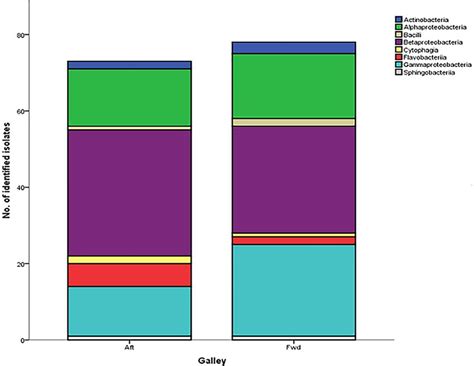 Number Of Isolates Within Each Bacterial Class Identified Across The