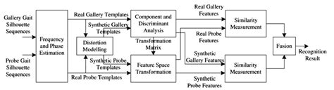 5 Structure Of The Gait Energy Image Algorithm Using The Statistical