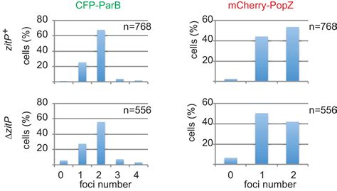 Figures And Data In Modularity And Determinants Of A Bi Polarization Control System From Free