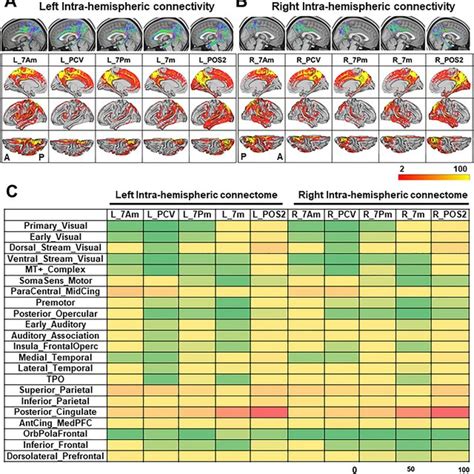 Intra Hemispheric Structural Connectivity Sc Of Precuneus A B Download Scientific Diagram