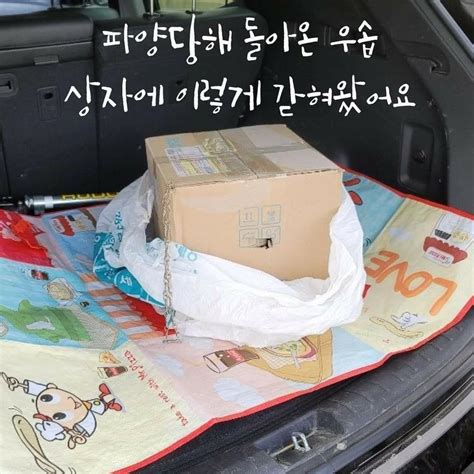 뷰티레시피 상자에 갇힌 채로 파양된 강아지 우솝이ㅠㅠ