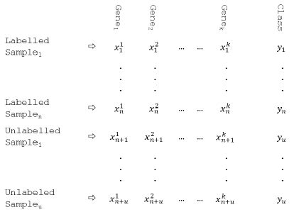 Input Data Designs With Sample By Gene Matrix Form Download Scientific Diagram