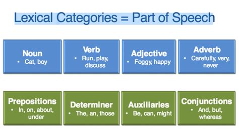 Linguistics Final Flashcards Quizlet