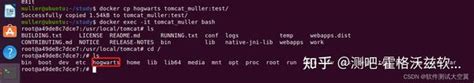 Docker Cp命令详解：在docker容器和主机之间复制文件文件夹 知乎