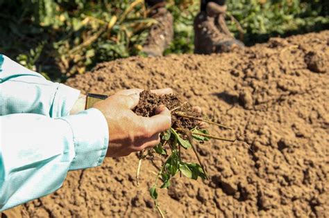 February 2024 Insights Australian Farm Institute Robert Edwin White