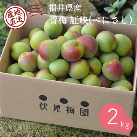 フルーツ 食と暮らしにplus らびっとらん