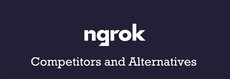 Localtonet Best Ngrok Alternatives In 2025