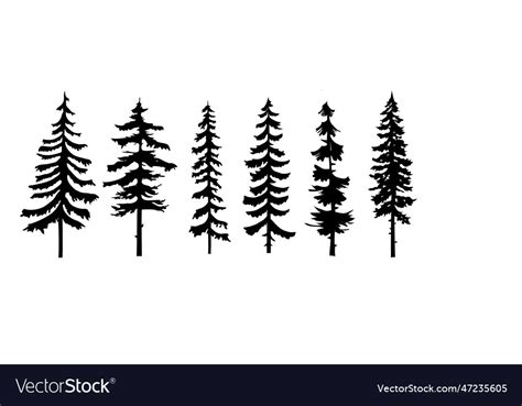 Collection Of Pine Trees Royalty Free Vector Image