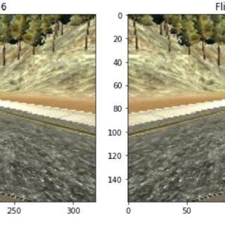 Example Of Flip Augmentation Download Scientific Diagram