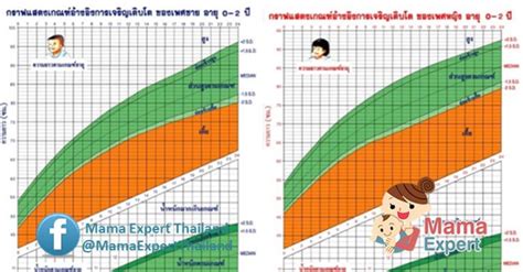 กราฟน้ำหนักเด็กเทียบกับอายุ Weight For Age