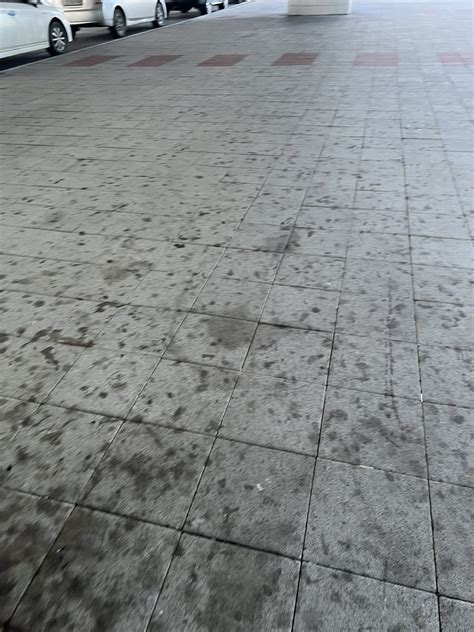 🇲🇳Шагдарын Лхагва ハグワ🇯🇵 On Twitter Оройн мэнд Шүлс цэр нус Чингис хаан олон улсын нисэх буудал