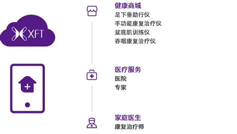 功能性电刺激