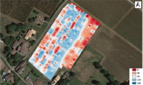Mobicam Map Of The Number Of Visible Berries Per Vines On A Vine Plot