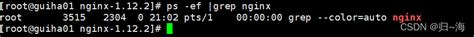 【nginx】彻底卸载nginx以及安装nginx的详细教程 csdn博客