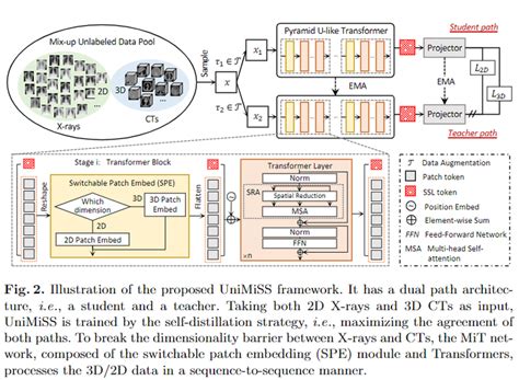 eccv2022 unimiss 混合2d 3d医学自监督框架 知乎