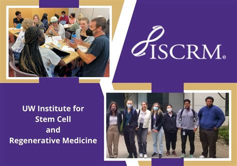 Uw Institute For Stem Cell And Regenerative Medicine Iscrm Uw Bothell Summer Research
