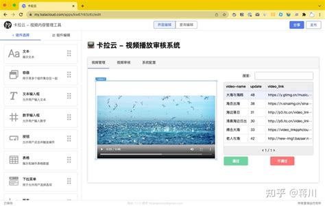 Video js 使用教程 手把手教你基于 Vue 搭建 HTML 5 视频播放器 知乎