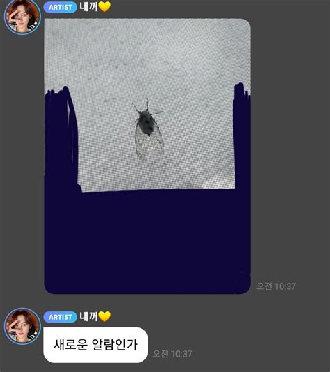 누누슴 On Twitter 스키즈숙소 혹시 정글에 있는거임