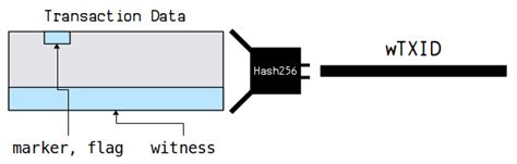 Transaction How Bitcoin Transactions Work