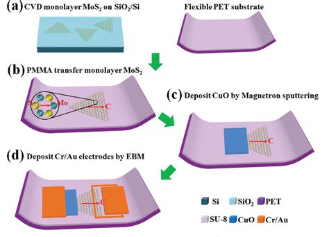 Figure 1 From A Flexible P Cuo N Mos2 Heterojunction Photodetector With Enhanced Photoresponse