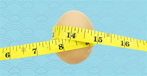 Happy Egg The Egg Sizing Guide