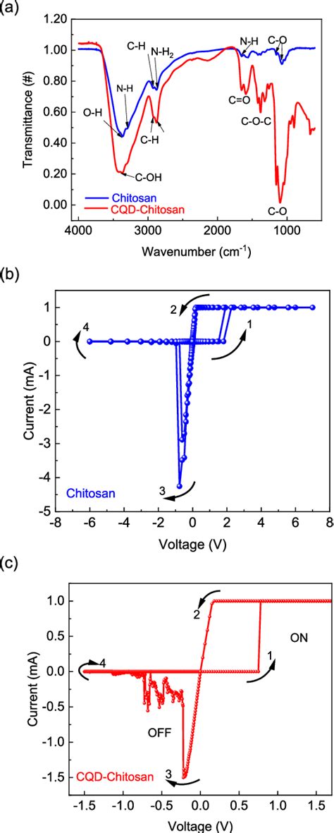 A Ft Ir Spectrum Of A Thin Film Of Chitosan And The Cqd−chitosan
