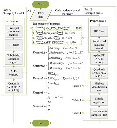 Flowchart Of EEG Signal Processing First We Wanted To Observe The Download Scientific Diagram