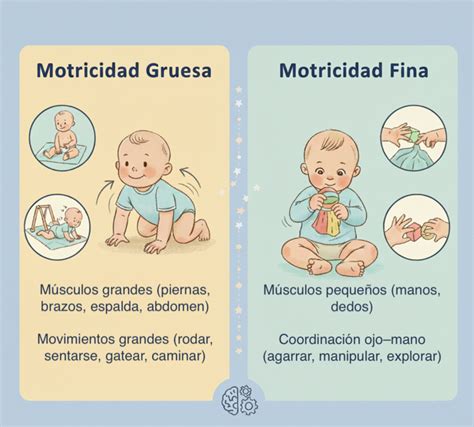 Importancia De La Motricidad Gruesa Y Fina En Tu Bebé