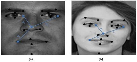Two Examples Of Three Euclidean Distances Between Facial Feature Points