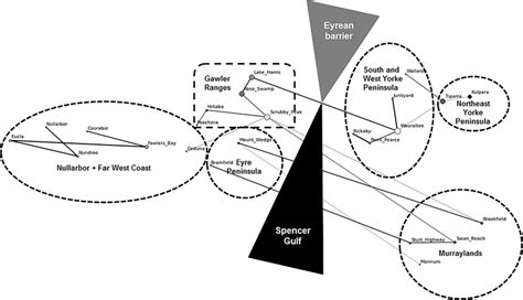 Network Analysis Minimum Spanning Tree Based On Pairwise Genetic Download Scientific Diagram